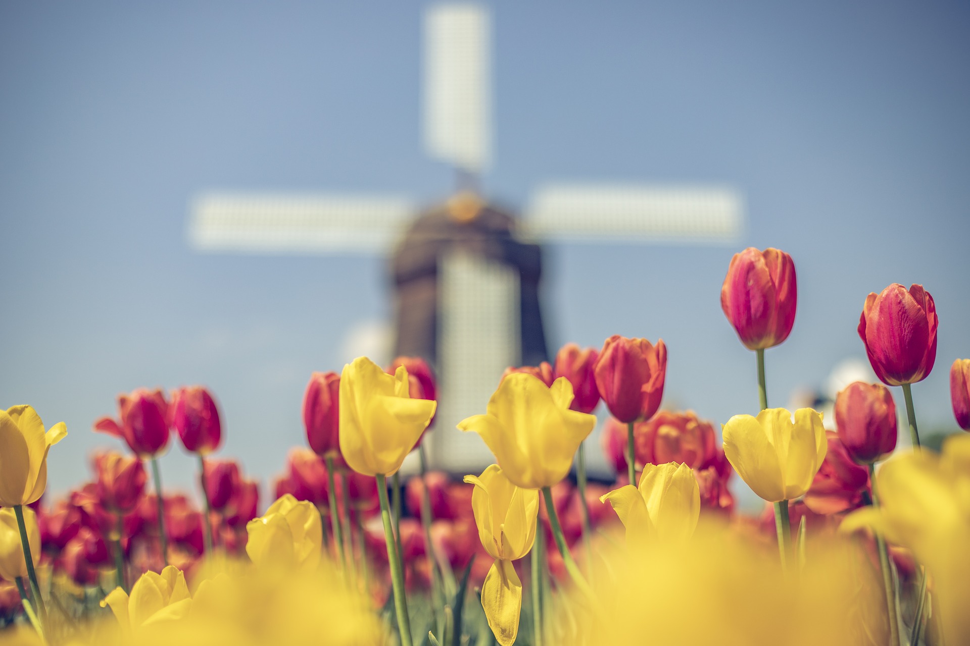 5 Sensational Destinations to Visit for Lovers of Spring - Beauty and ...