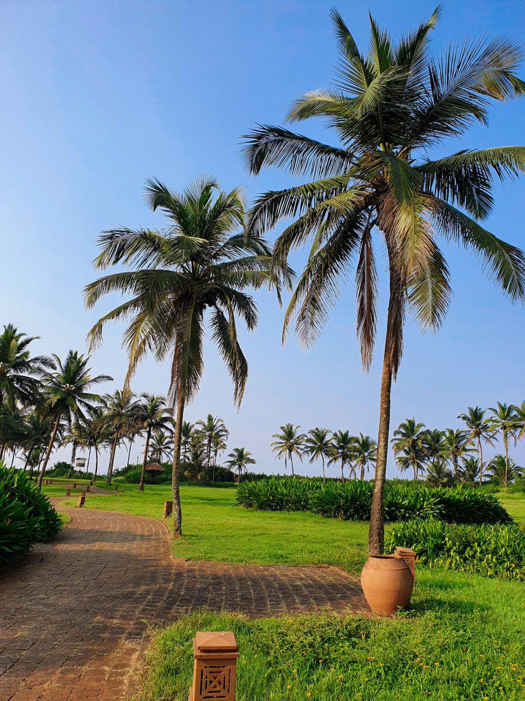 ITC Grand Goa – Responsible Luxury stay | Goa 2020 - Beauty and the Being